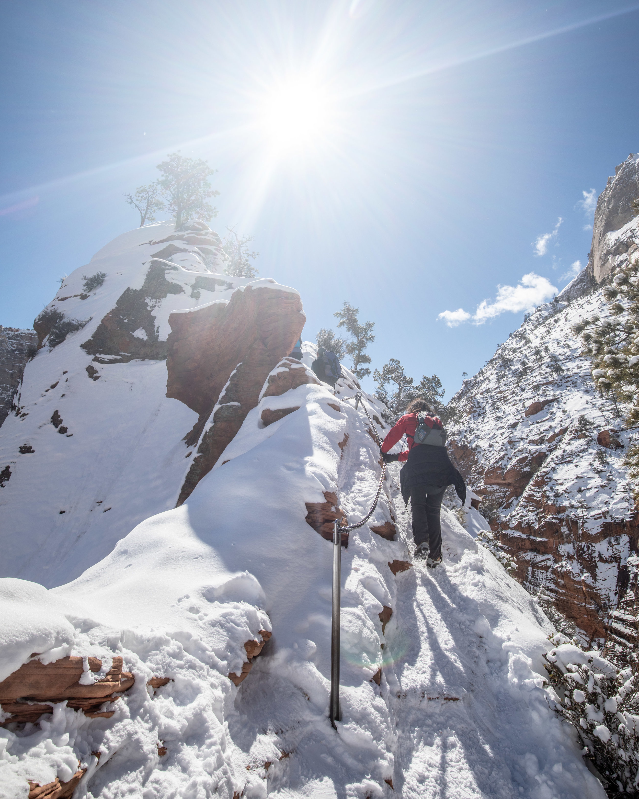 Why you definitely need to visit Zion National Park in Winter — Walk My ...
