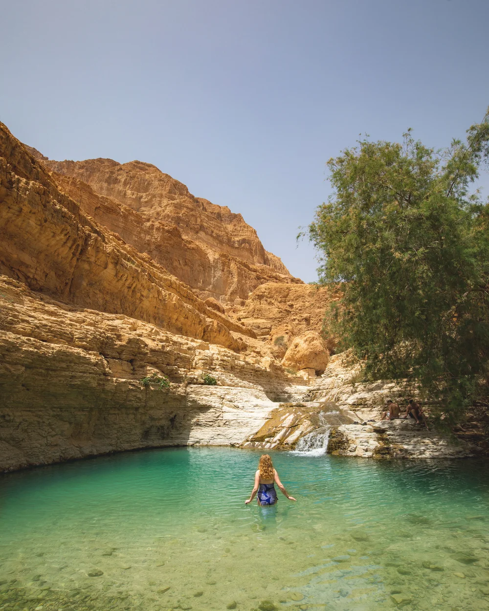 Ein Gedi desert oasis - a highlight of Israel — Walk My World