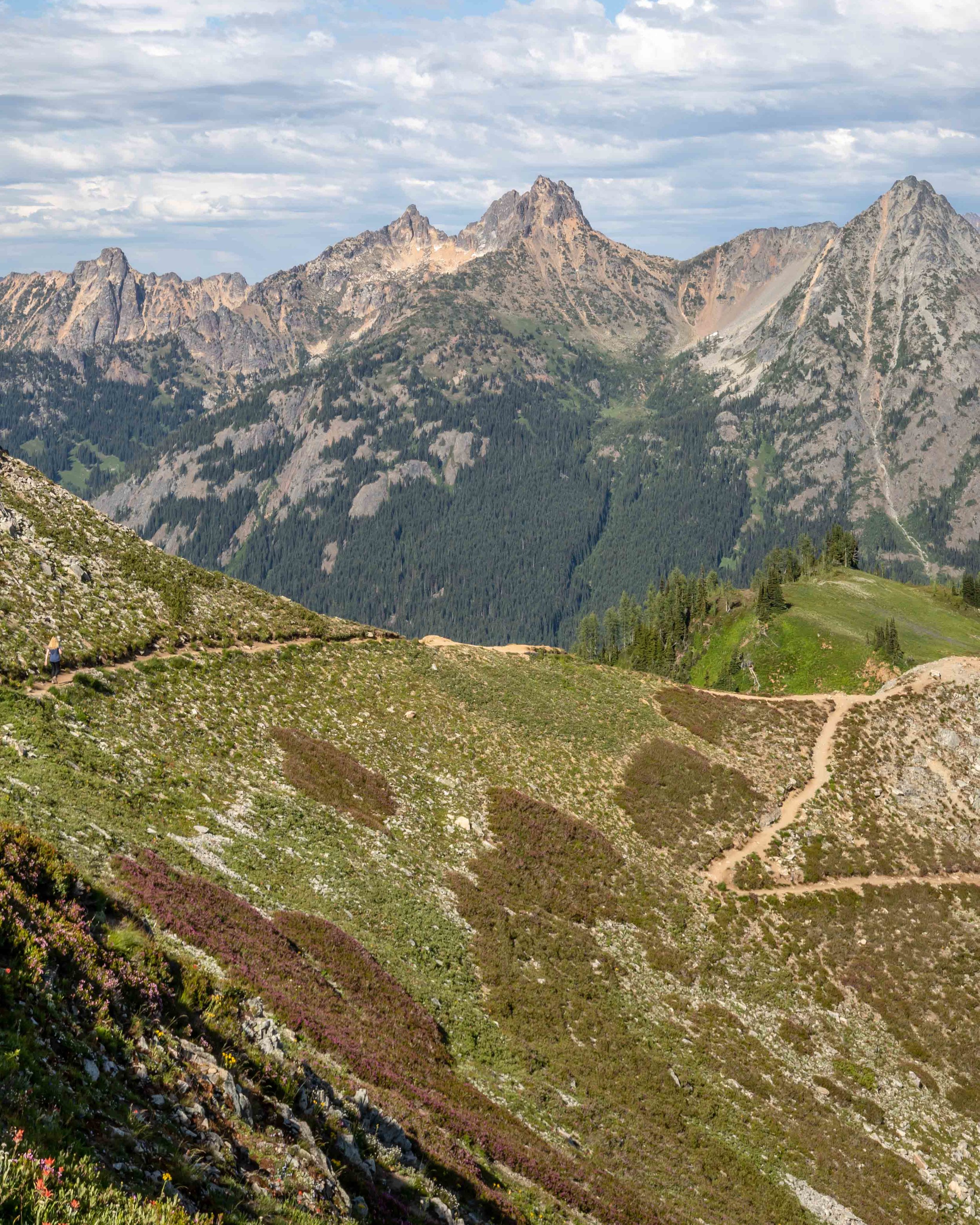 A photographic guide to the stunning Maple Pass Loop Trail, North ...
