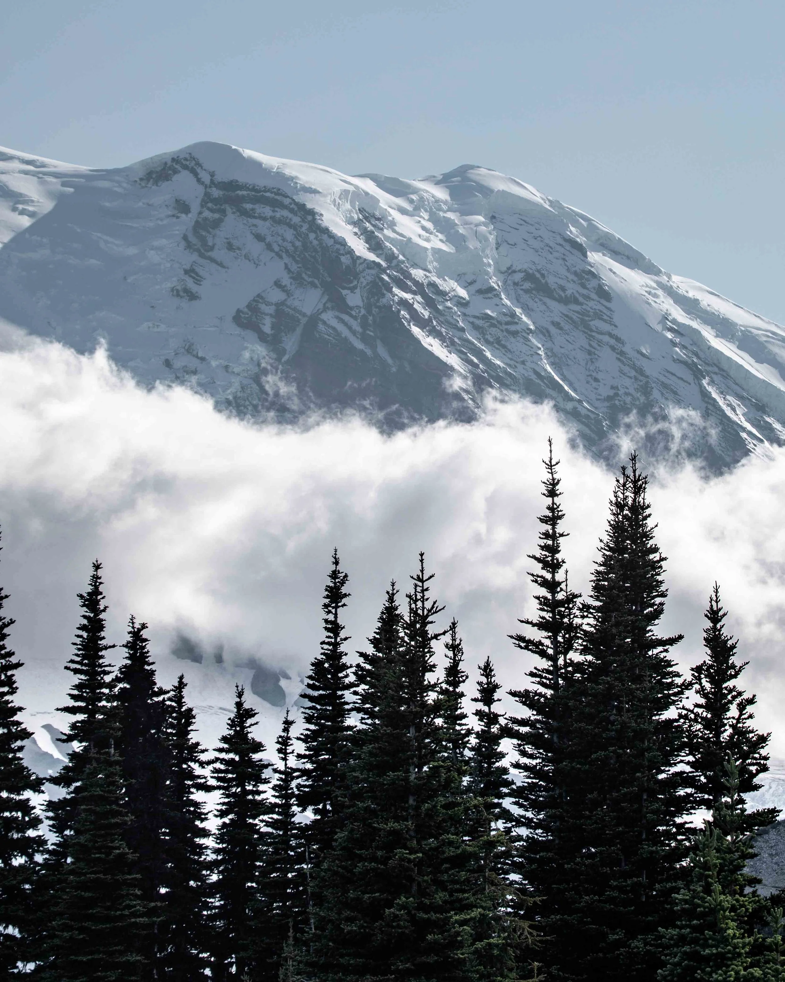 The best Mount Rainier Hikes for epic views — Walk My World