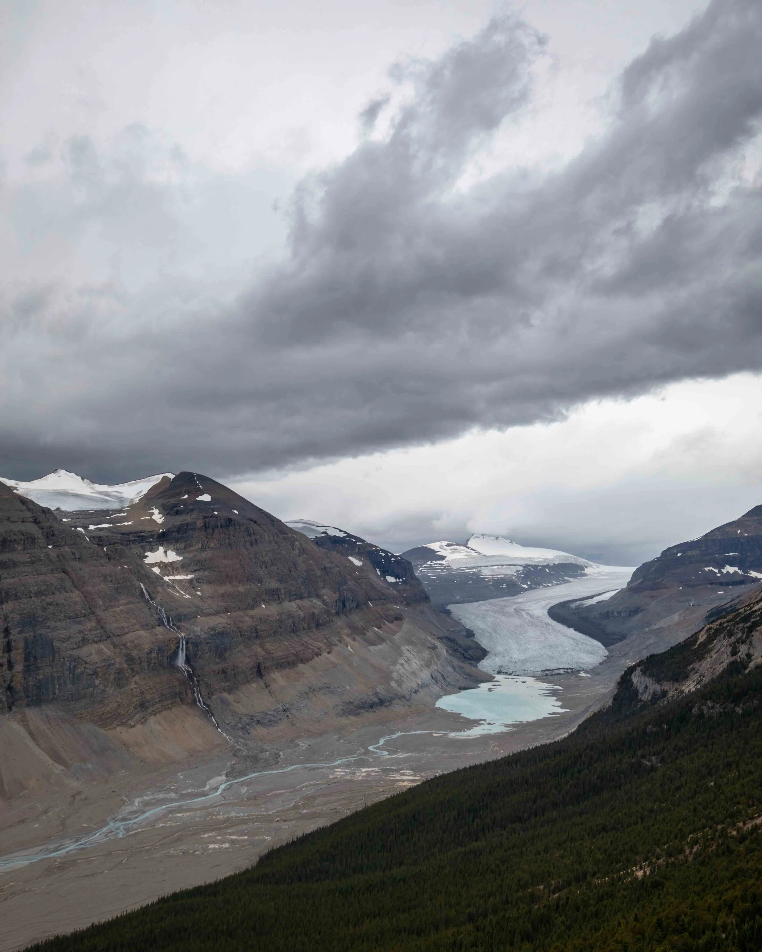 The Parker Ridge Trail - the best hike on the Icefields Parkway — Walk ...