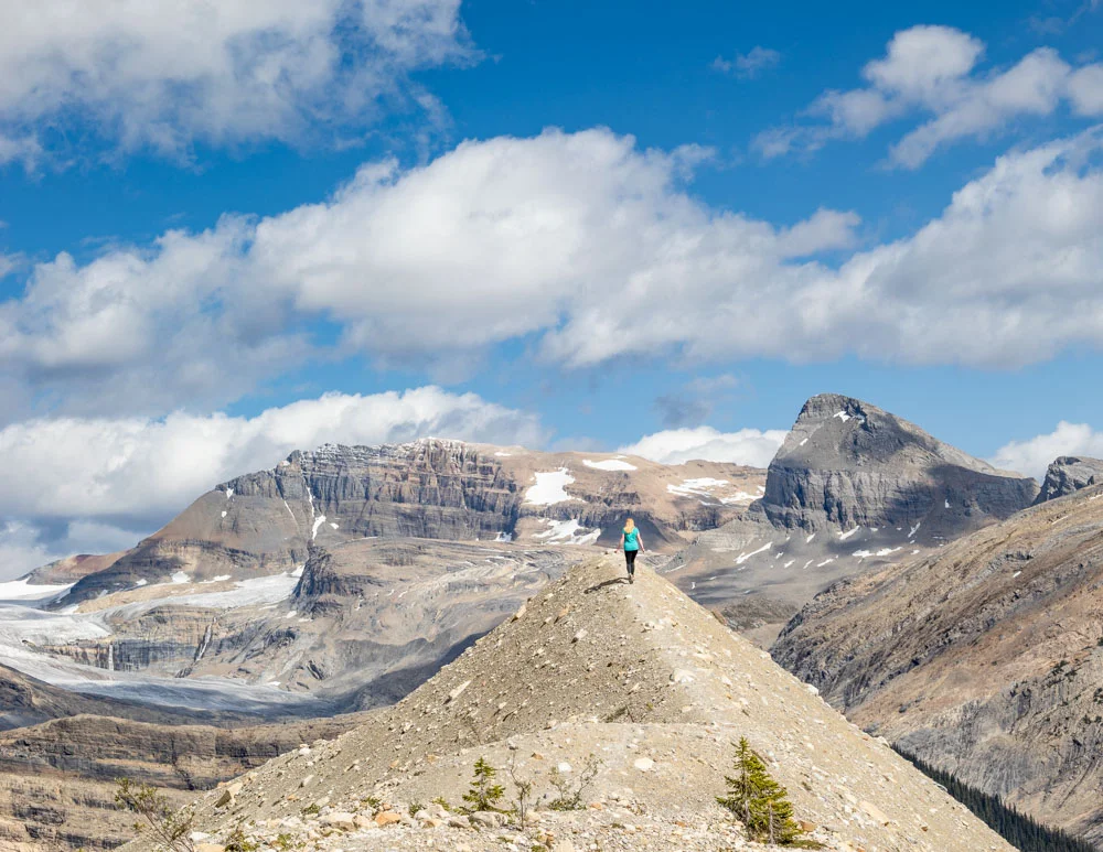 Hiking among glaciers: The Iceline Trail, Yoho National Park — Walk My ...