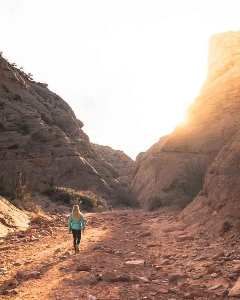 The best Capitol Reef Hikes: how to see these epic trails in 1 day ...