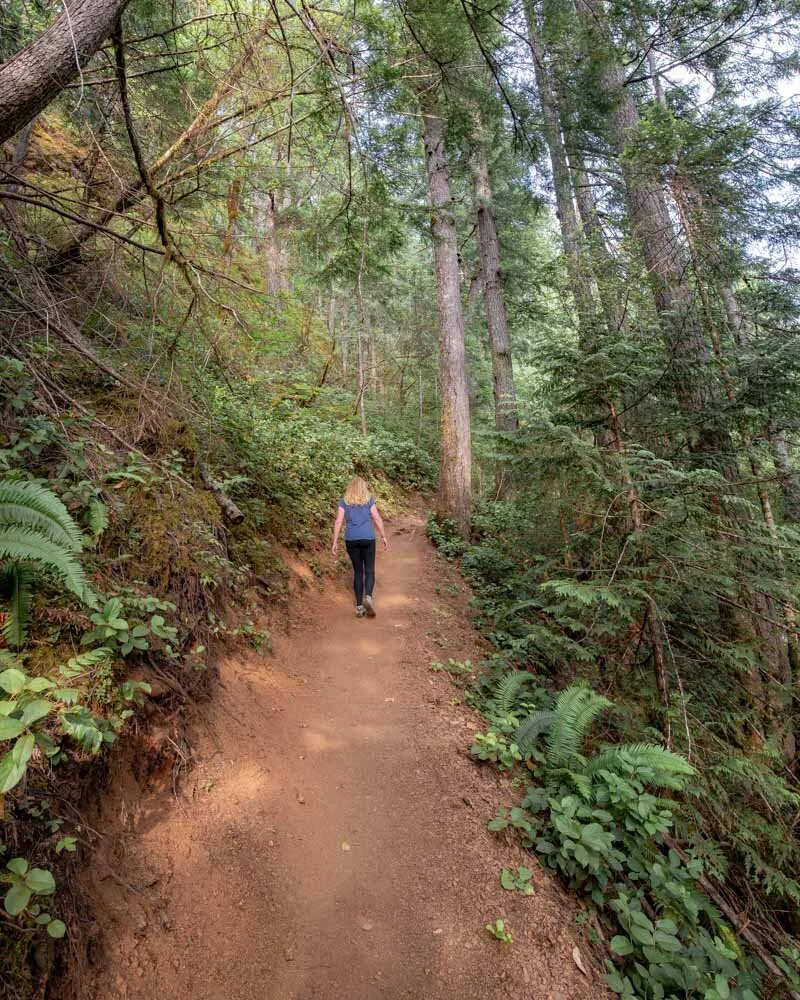 A detailed guide to the Mount Storm King Trail- ropes, difficulty and ...