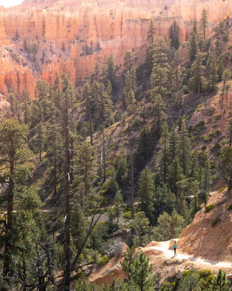 A complete guide to the Fairyland Loop - Bryce's hidden gem — Walk My World