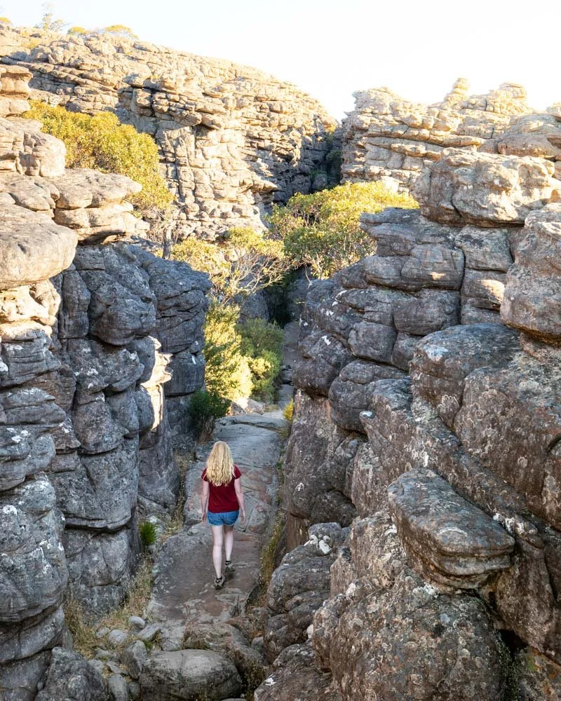 The Pinnacle Walk - the best in the Grampians — Walk My World