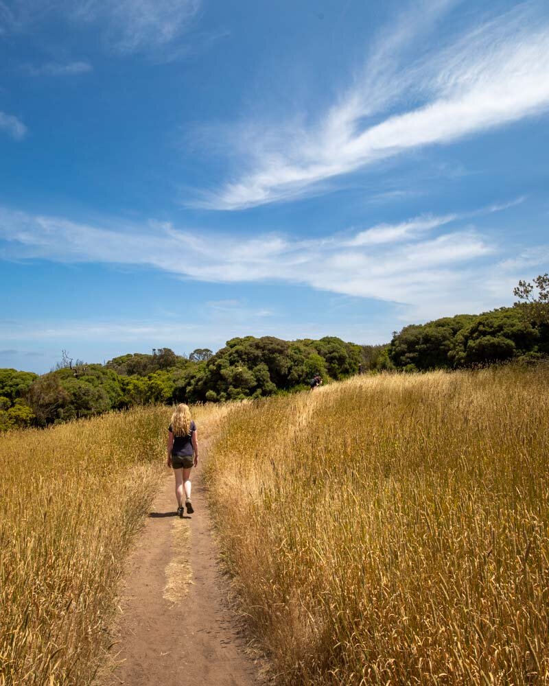 The Bushrangers Bay walk - one of the best in the Mornington Peninsula ...