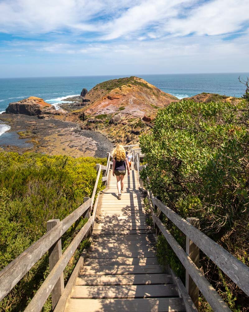 The Bushrangers Bay walk - one of the best in the Mornington Peninsula ...
