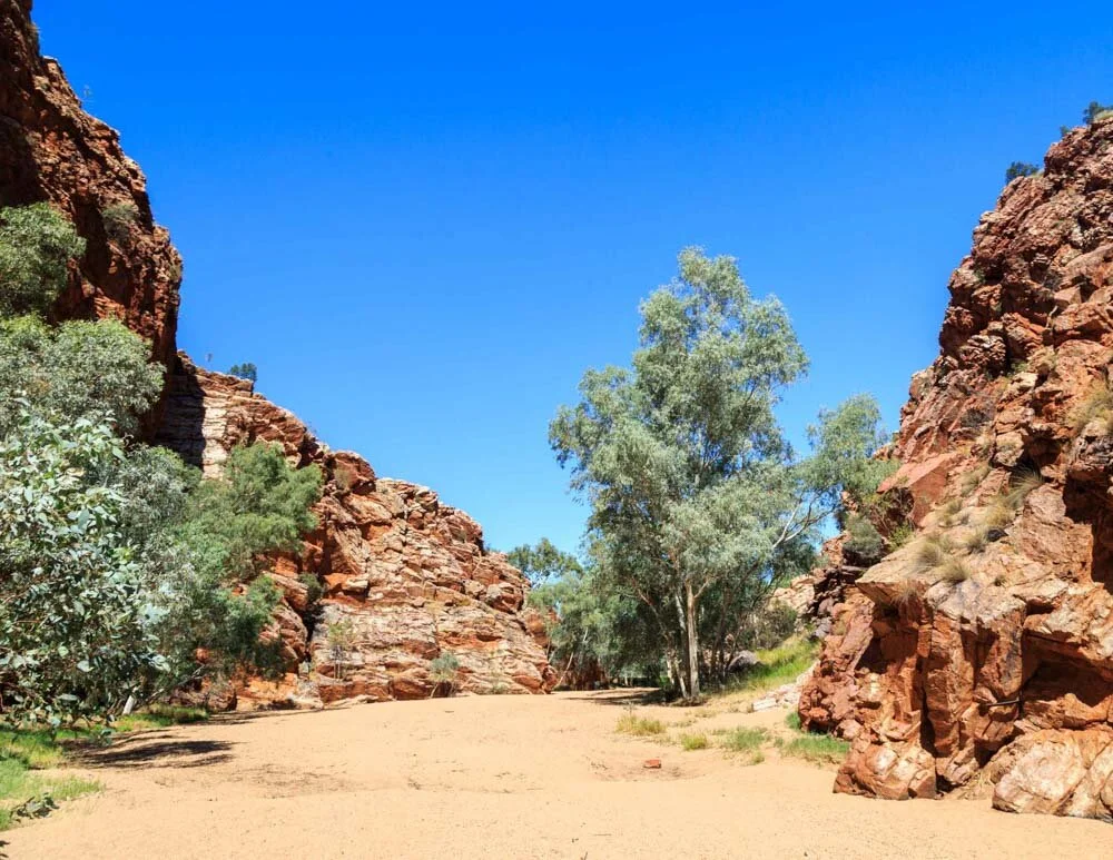 19 Best things to do in Alice Springs for the trip of a lifetime — Walk ...