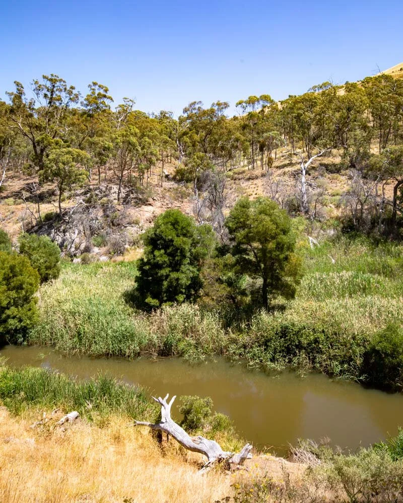 Werribee Gorge Circuit Walk - a touch of adventure close to Melbourne ...