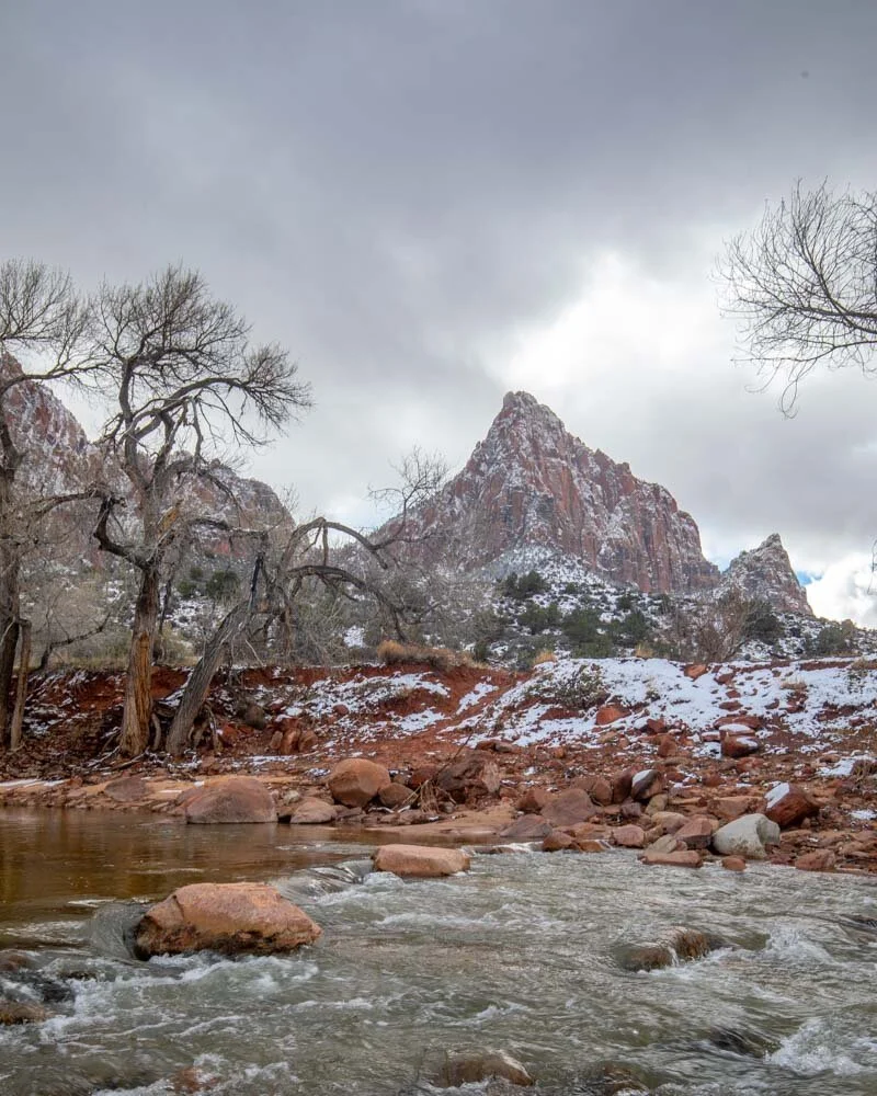 Zion in one day - we'll make sure you don't miss the highlights — Walk ...