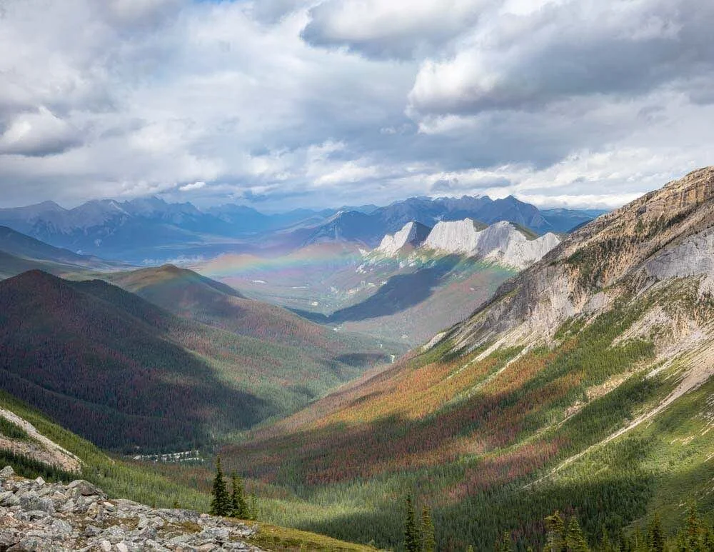 The best Jasper Hikes for incredible views — Walk My World