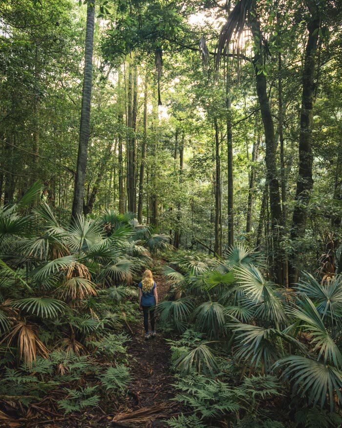16 of the best Sydney bush walks that you just can't miss — Walk My World