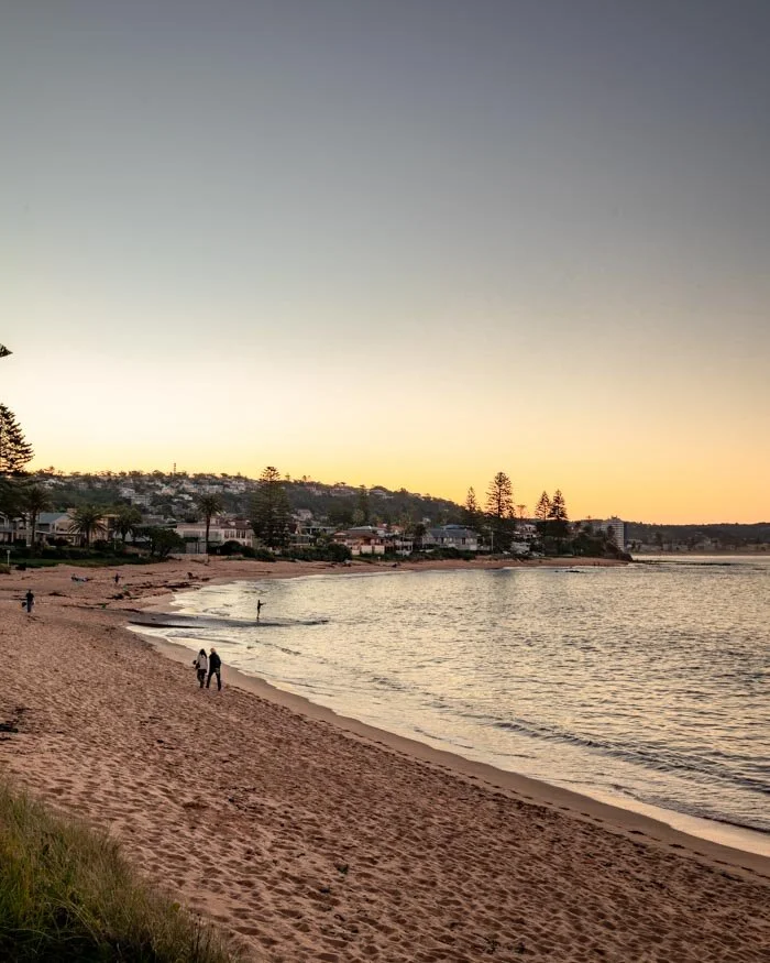 Long Reef Headland: an easy and beautiful coast walk on the Northern ...