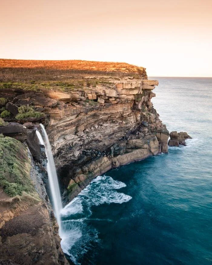 The 12 best spots to whale watch in Sydney without a tour — Walk My World
