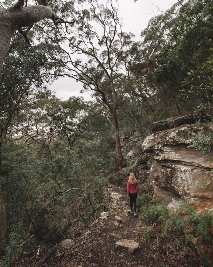 The 10 most beautiful walks in Ku-ring-gai National Park — Walk My World