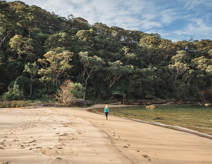 Ku-Ring-Gai National Park — Walk My World