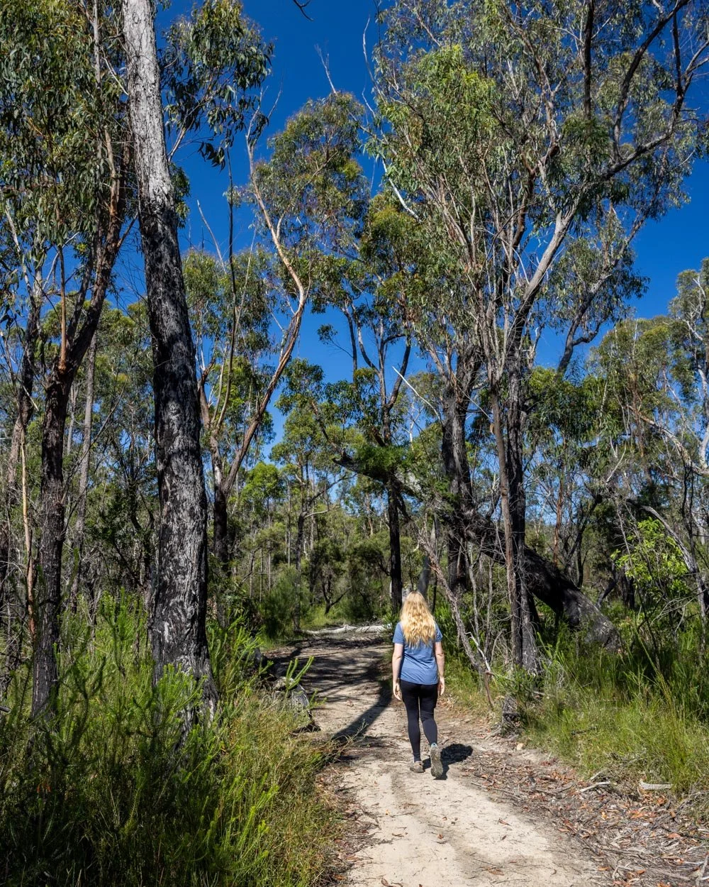 Hell Hole Falls: a spectacular waterfall swimming hole near Jervis Bay ...