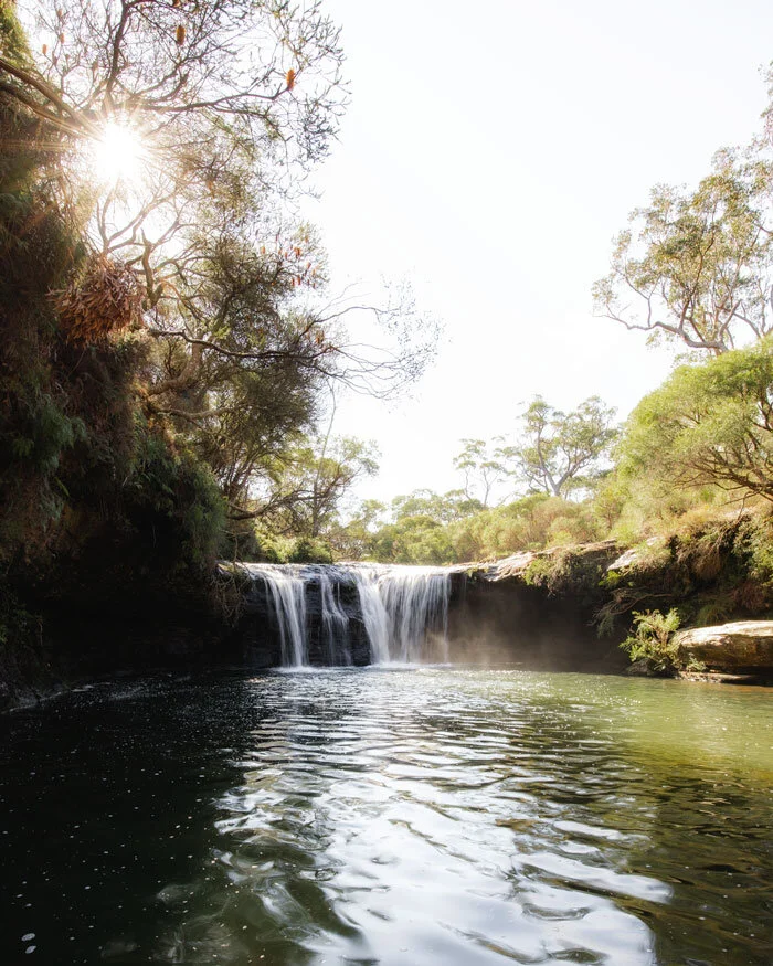 Carrington Falls: more than just a waterfall — Walk My World