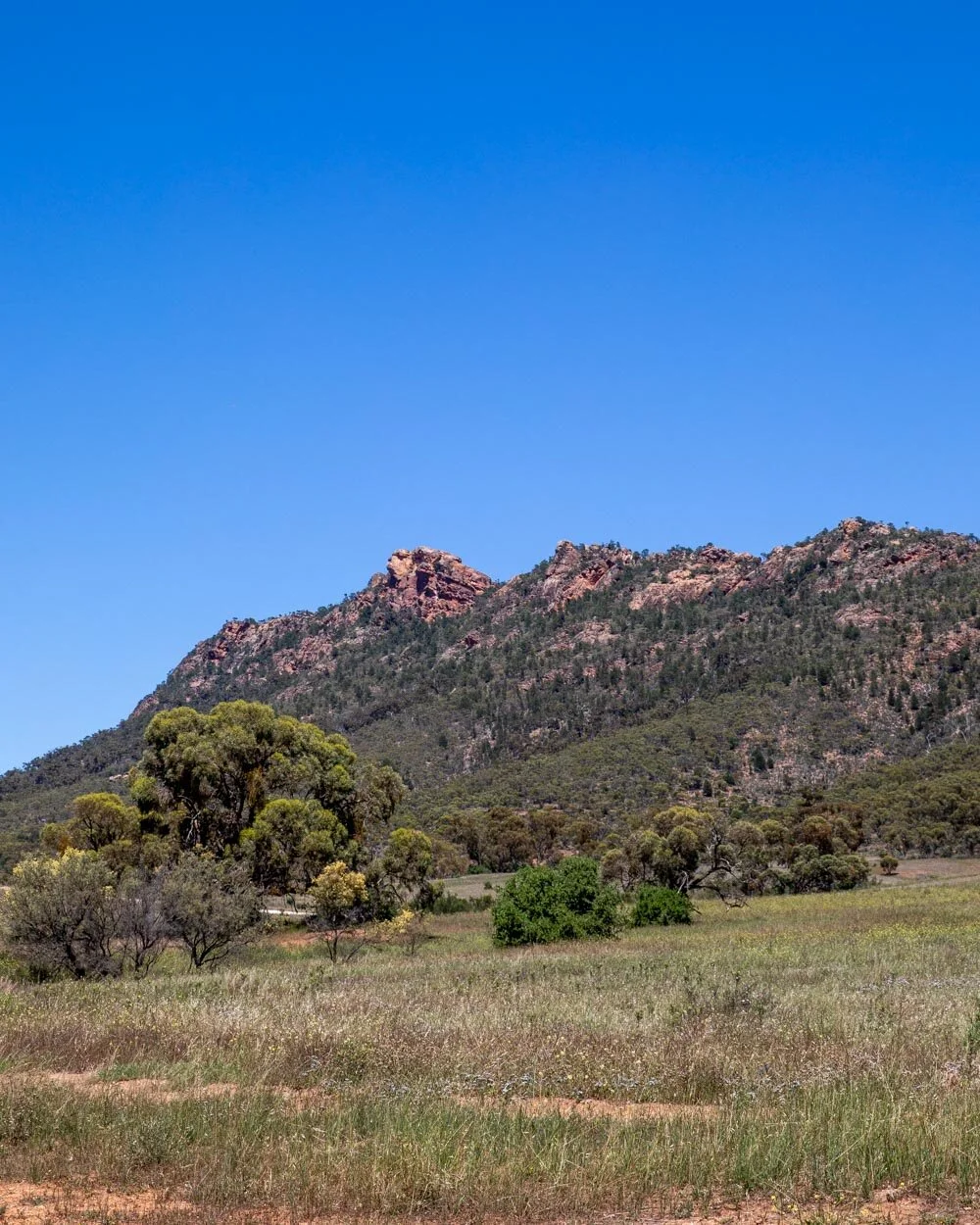 Devils Peak: an adventurous hike in Quorn — Walk My World