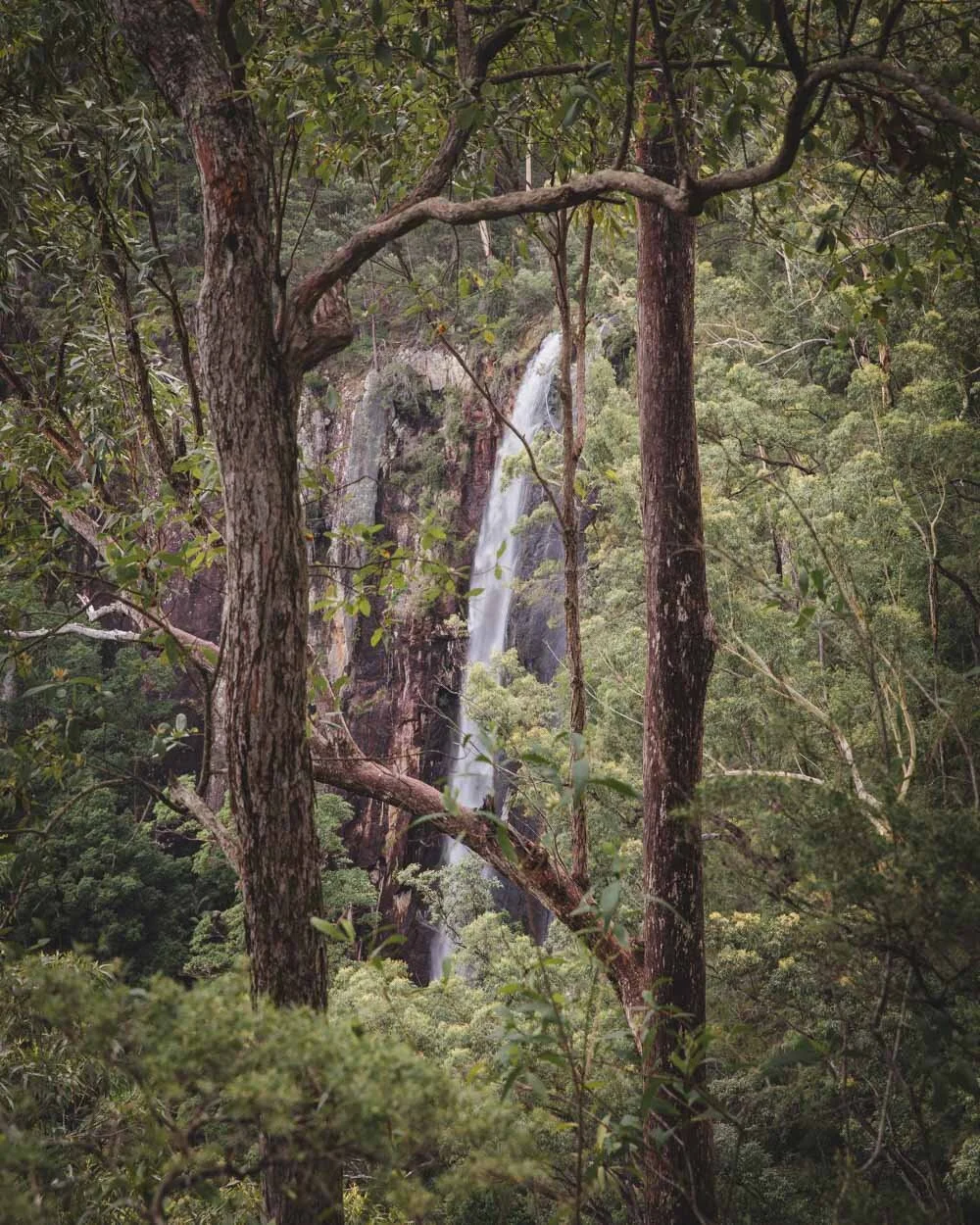 The 8 most spectacular Waterfalls in Byron Bay — Walk My World