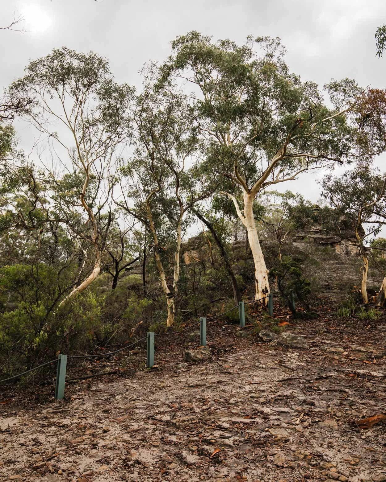 Dry Canyon - a stunning, easy slot canyon in the Blue Mountains — Walk ...