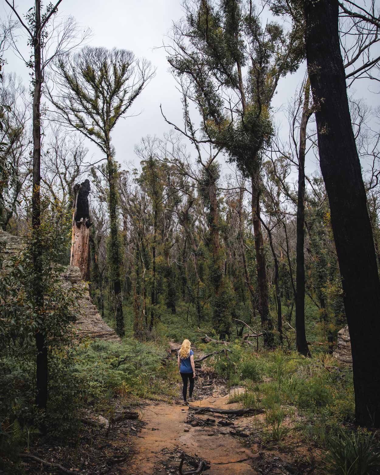 Dry Canyon - a stunning, easy slot canyon in the Blue Mountains — Walk ...