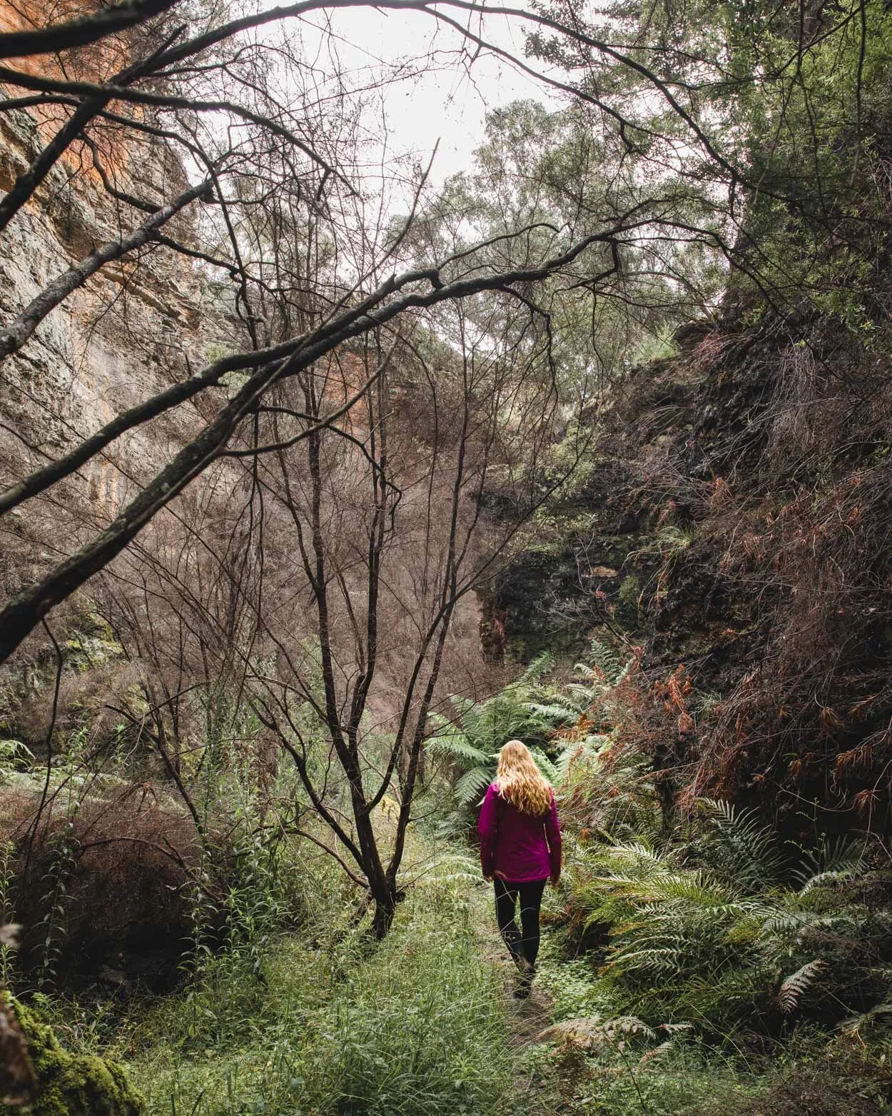 Dry Canyon - a stunning, easy slot canyon in the Blue Mountains — Walk ...