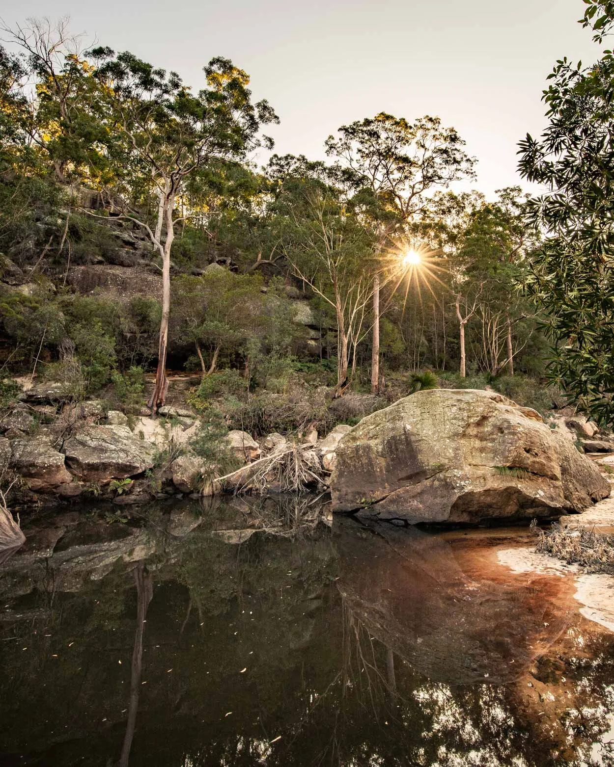 Insider tips for Jellybean Pool and other nearby alternatives — Walk My ...