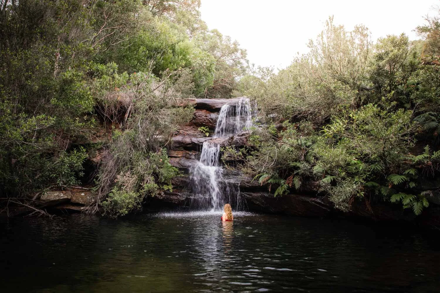 Curracurrang Falls: Royal National Park's secret waterfall you can swim ...