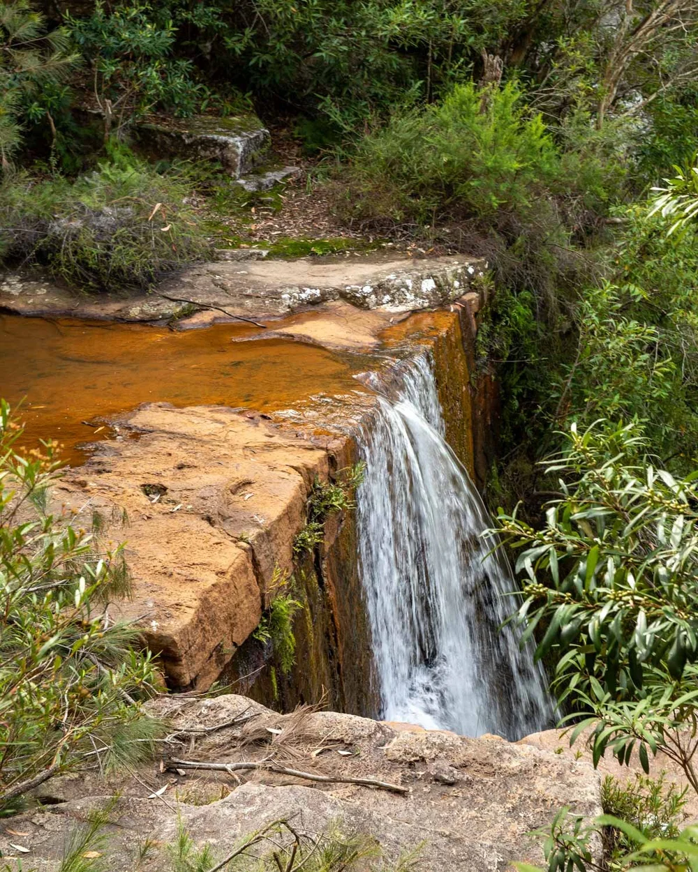 The easiest way to get to the bottom of Kellys Falls — Walk My World