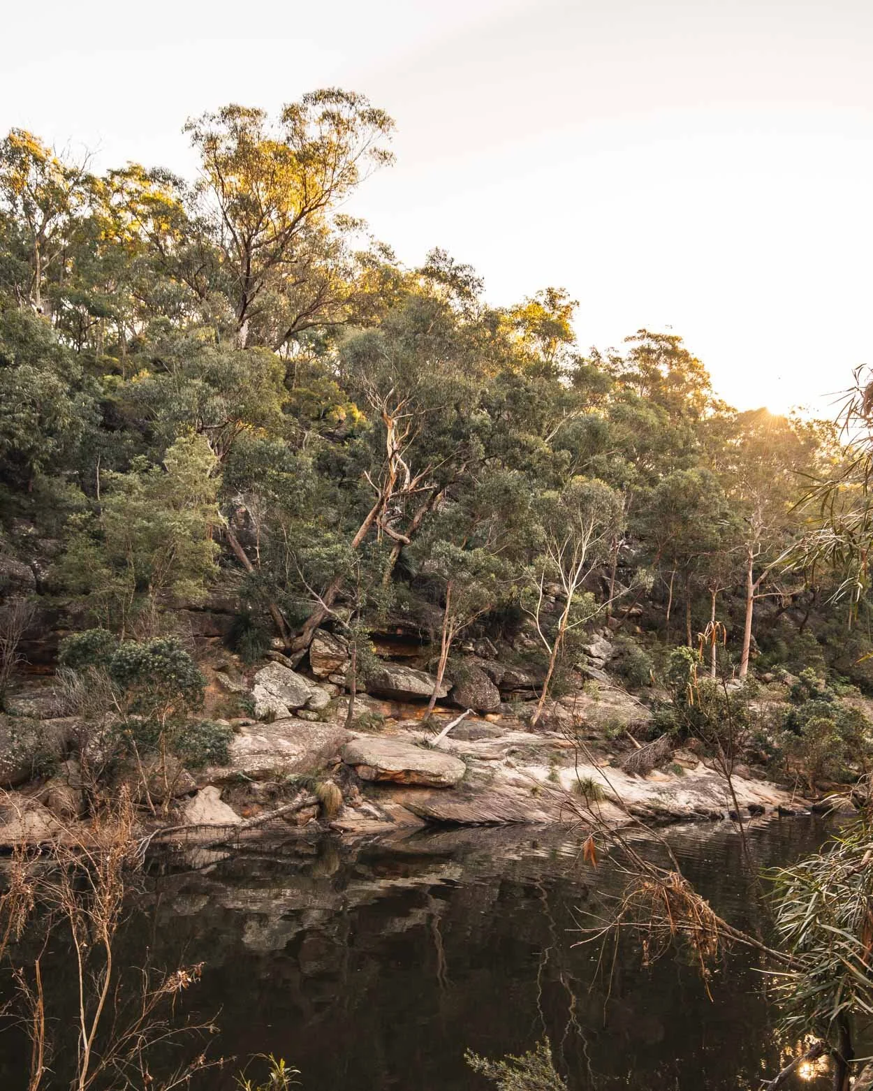 15 Truly Incredible Blue Mountains Wild Swimming Holes — Walk My World