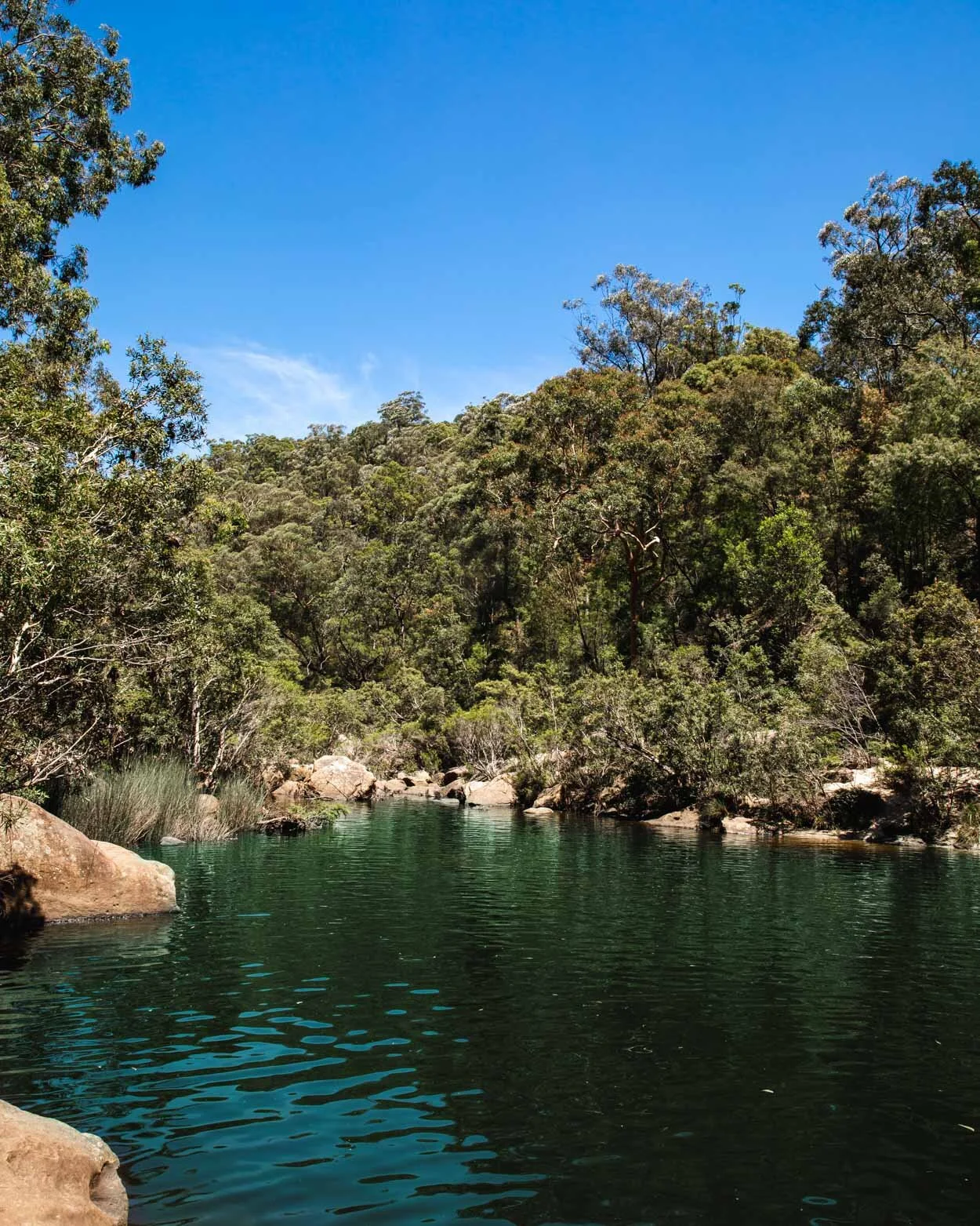 15 Truly Incredible Blue Mountains Wild Swimming Holes — Walk My World