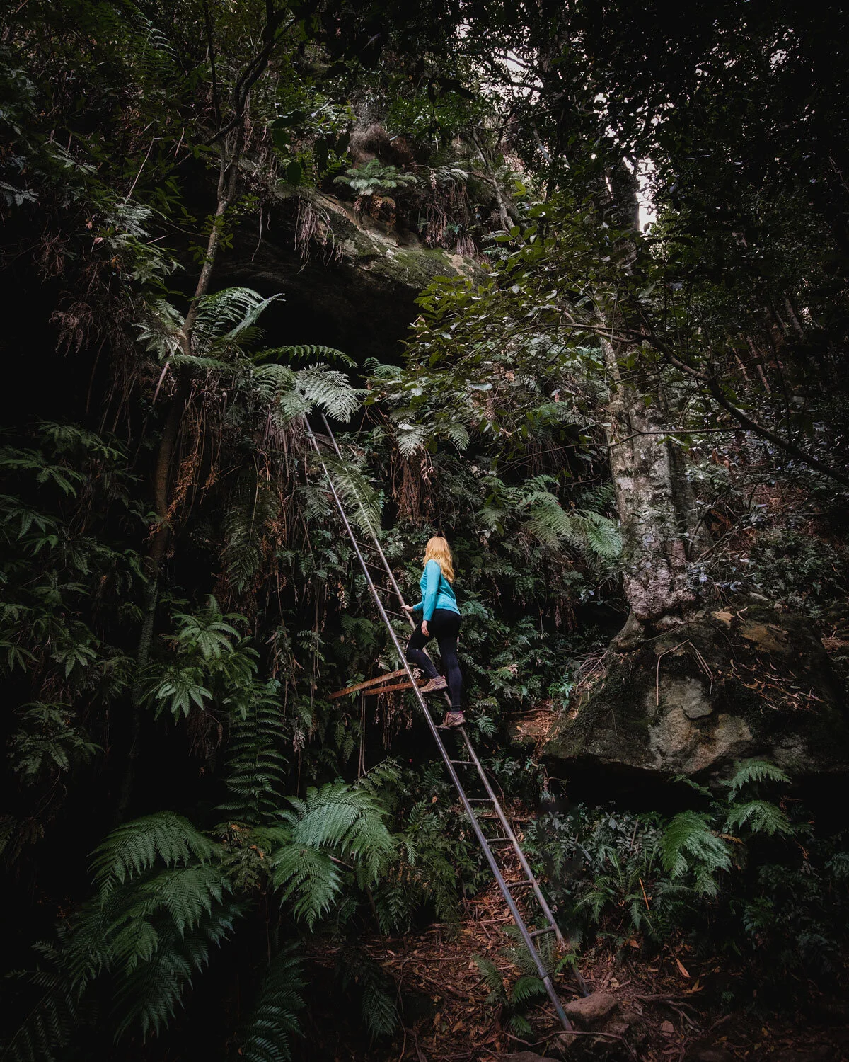 Coxs Cave: a Blue Mountains hidden gem — Walk My World
