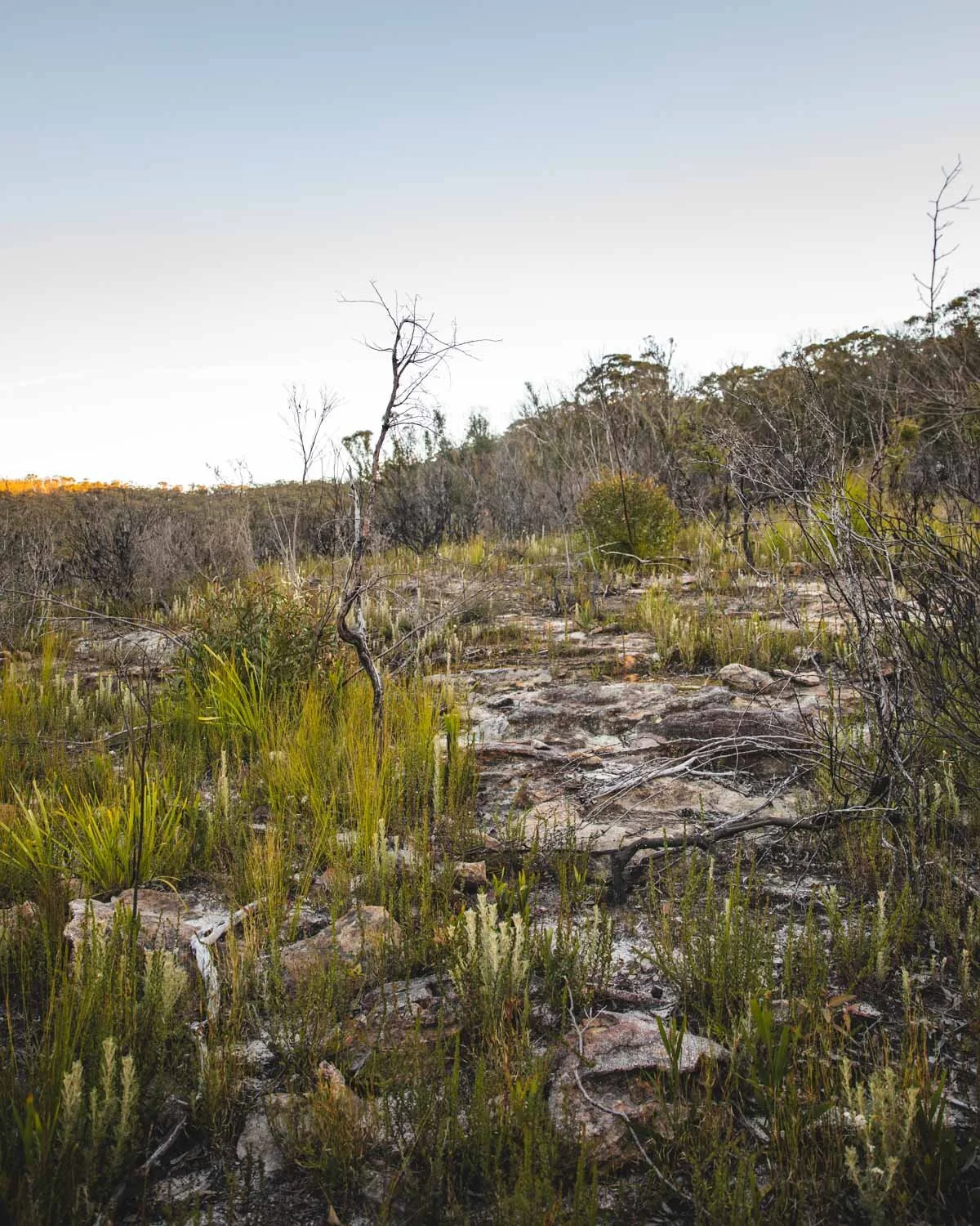 How to find the picturesque Dargan Arch — Walk My World