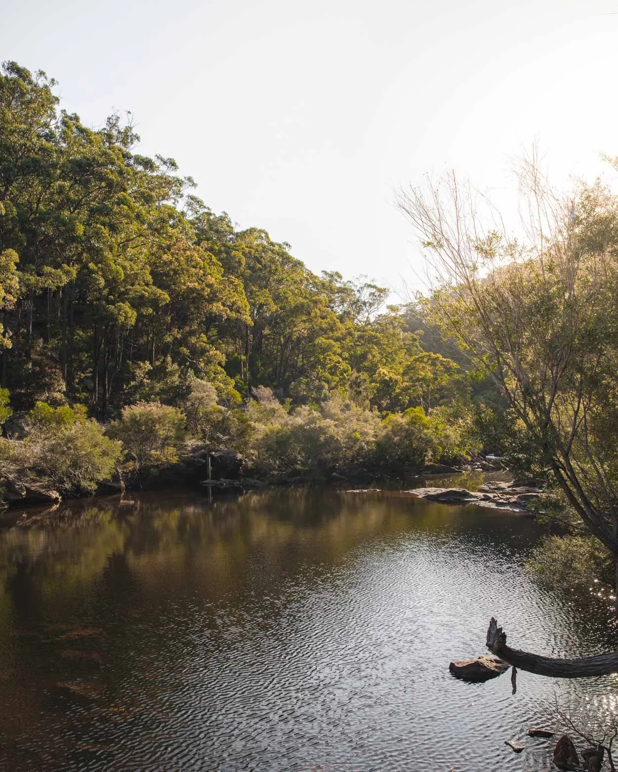 19 of the best wild swimming spots close to Sydney — Walk My World