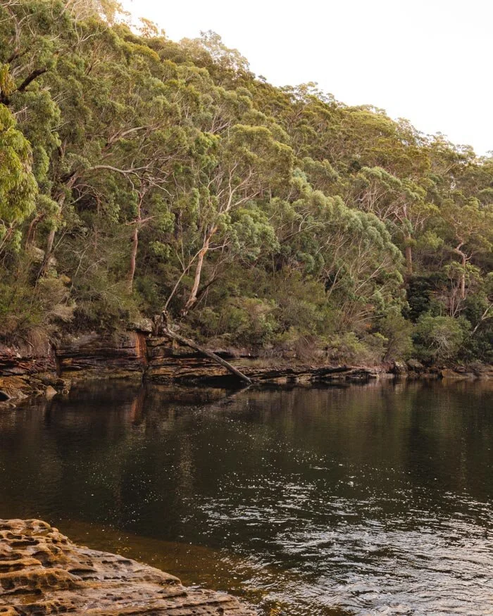19 of the best wild swimming spots close to Sydney — Walk My World