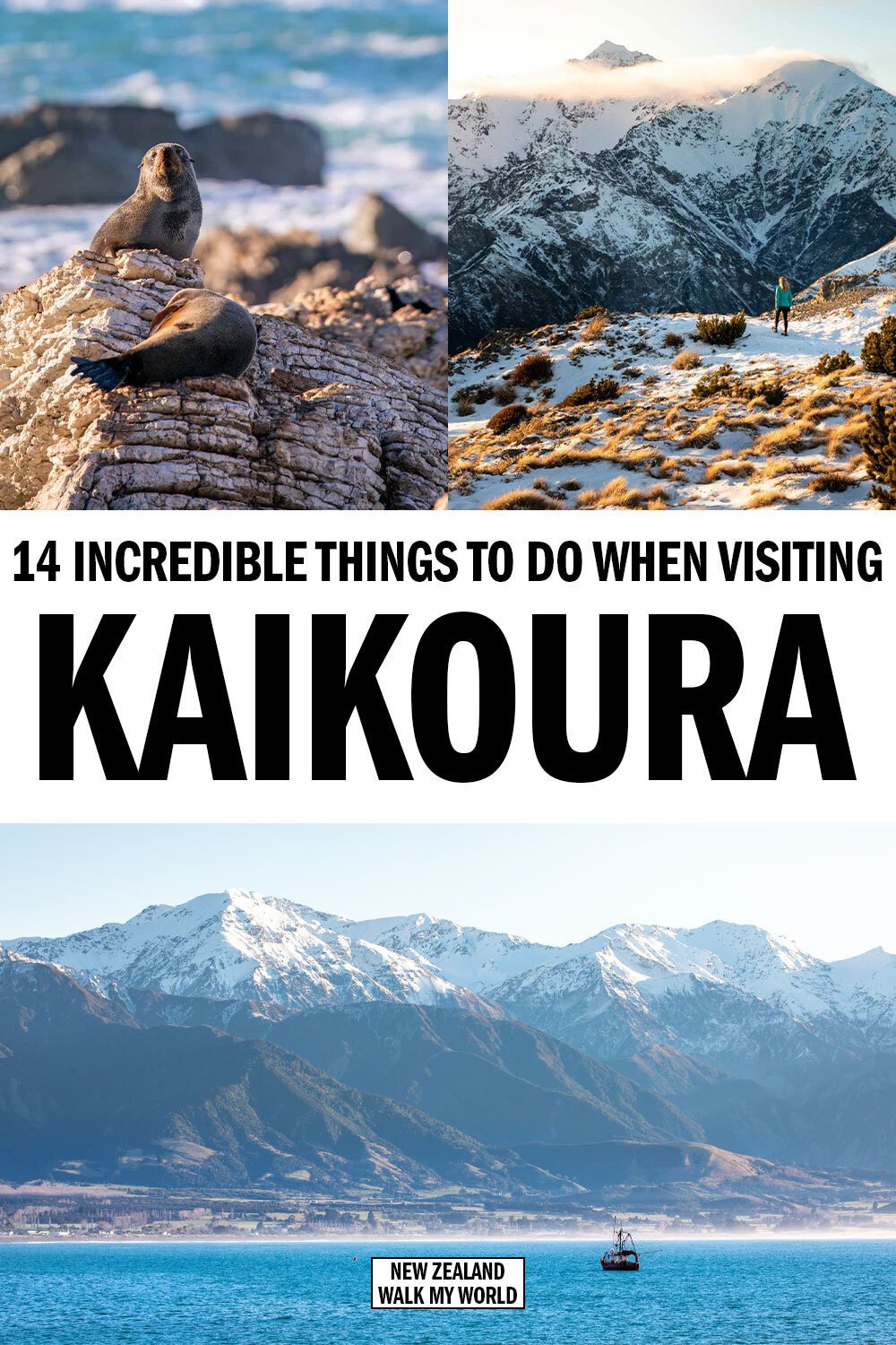 14 Things to do in Kaikoura: a whole lot more than just whales — Walk ...
