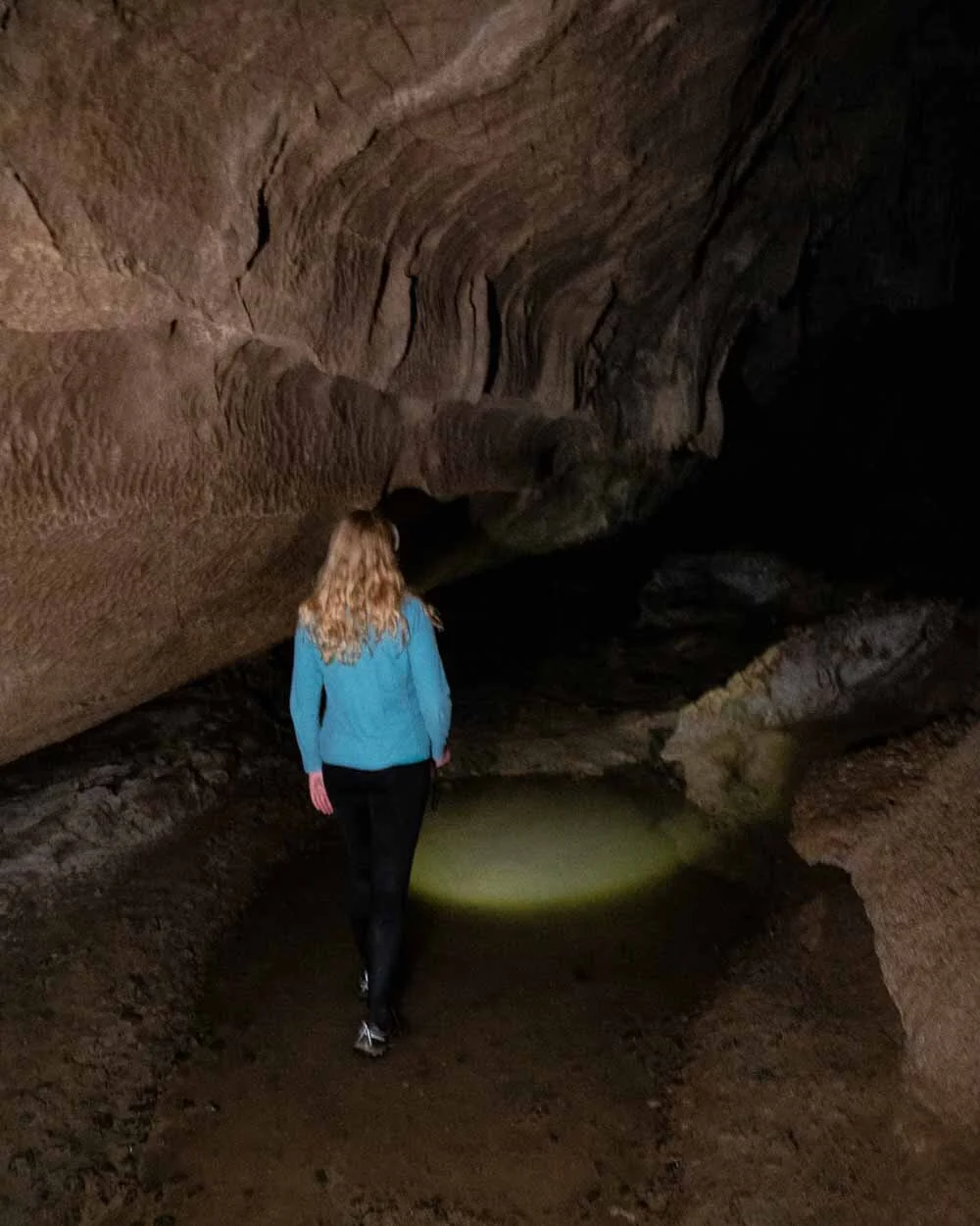 Waipu Caves: where to find the best glow worm displays — Walk My World
