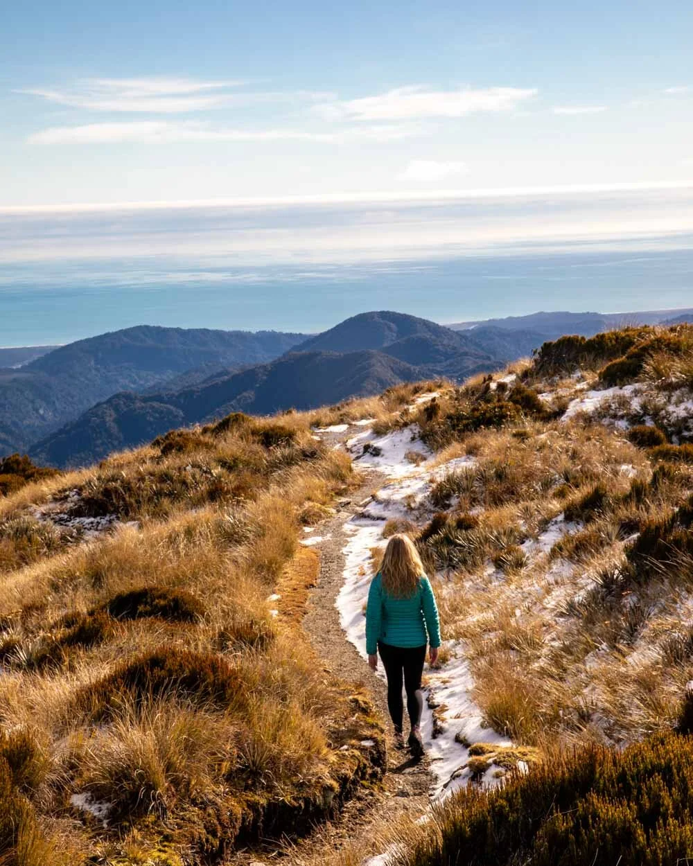 Alex Knob vs Roberts Point: which is the best hike in Franz Josef ...