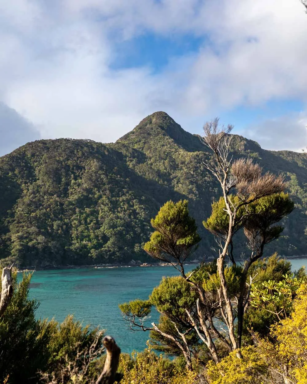 14 incredible things to do in Whangarei for an adventurous city break ...
