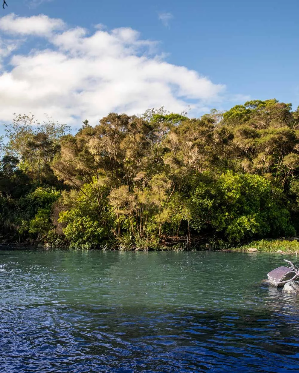 6 stunning Kerikeri Waterfalls that you shouldn't miss — Walk My World