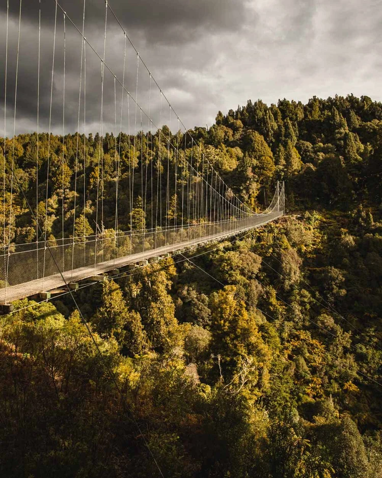 Maramataha Bridge - how to visit one of NZ's highest & longest ...