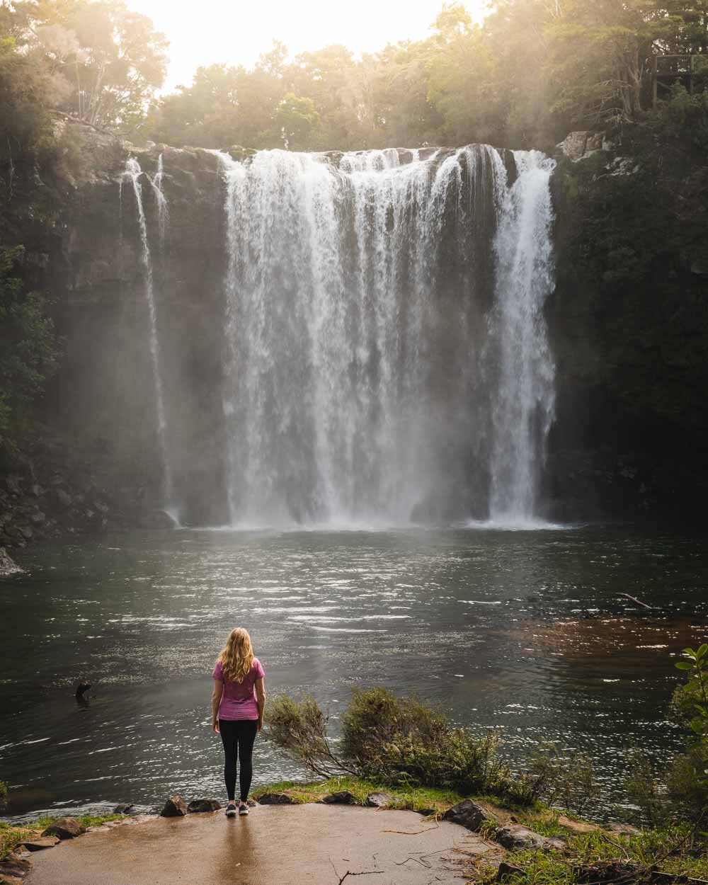 Haruru Falls: a stunning waterfall near Paihia — Walk My World