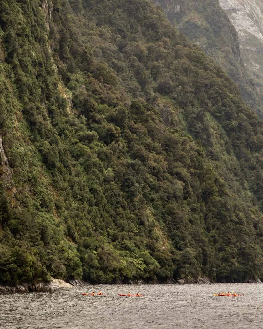 14 Incredible things to do in Milford Sound for the trip of a lifetime ...