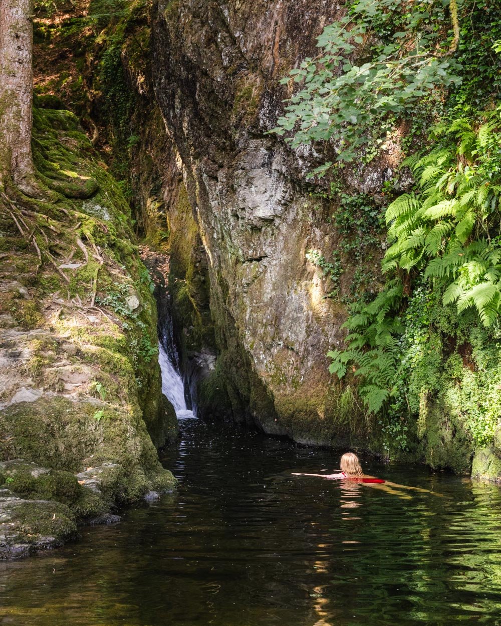 Ffynone Waterfall: wild swimming in Pembrokeshire's hidden fairy grotto ...