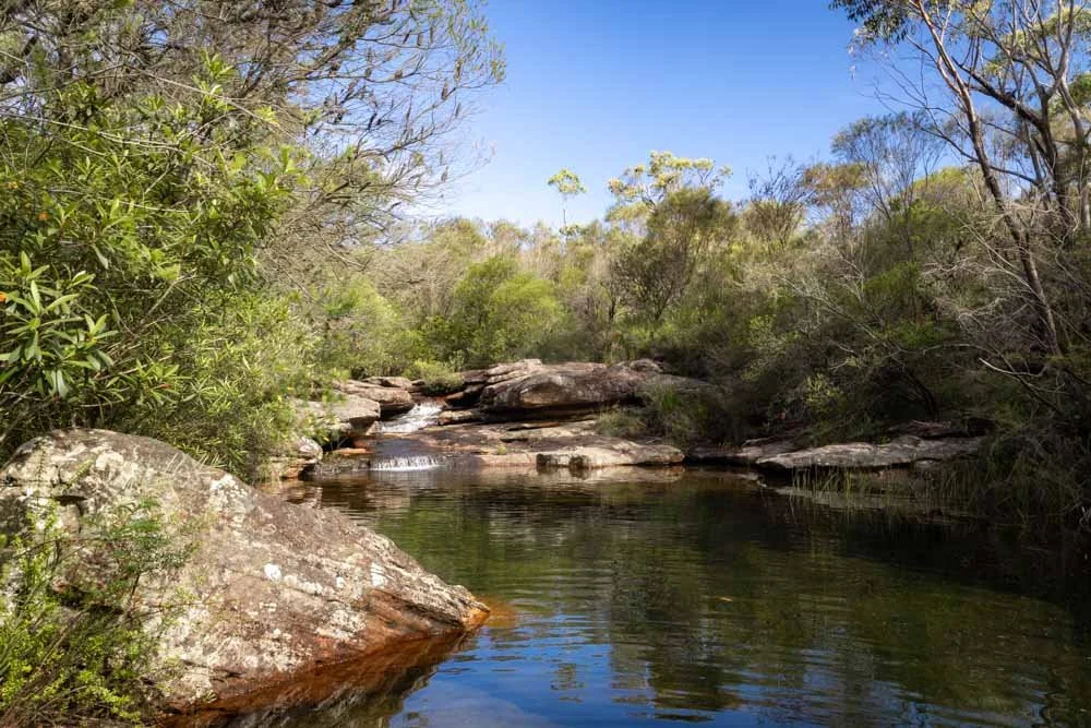 Jibbon Beach Loop Track: an easy but breathtaking walk in Royal ...