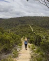 Walls Cave: an easy cave and canyon walk in Blackheath — Walk My World