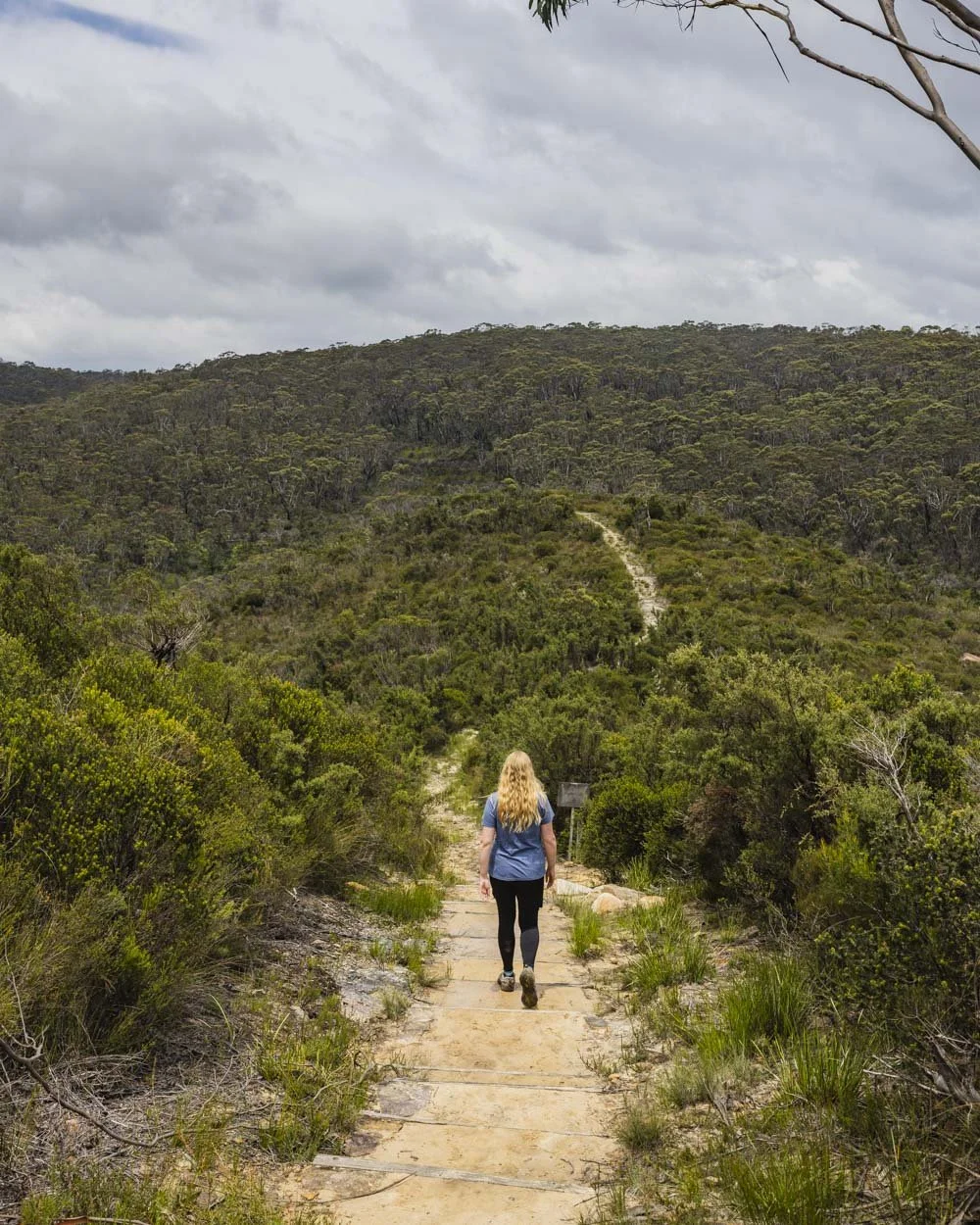 Walls Cave: an easy cave and canyon walk in Blackheath — Walk My World
