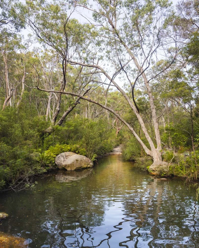 Pearly Ponds: a family friendly swimming hole on the Central Coast ...